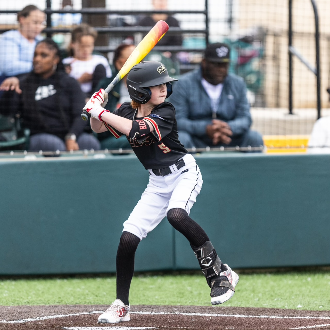 National Championship Sports | Baseball | Stellan Harrison