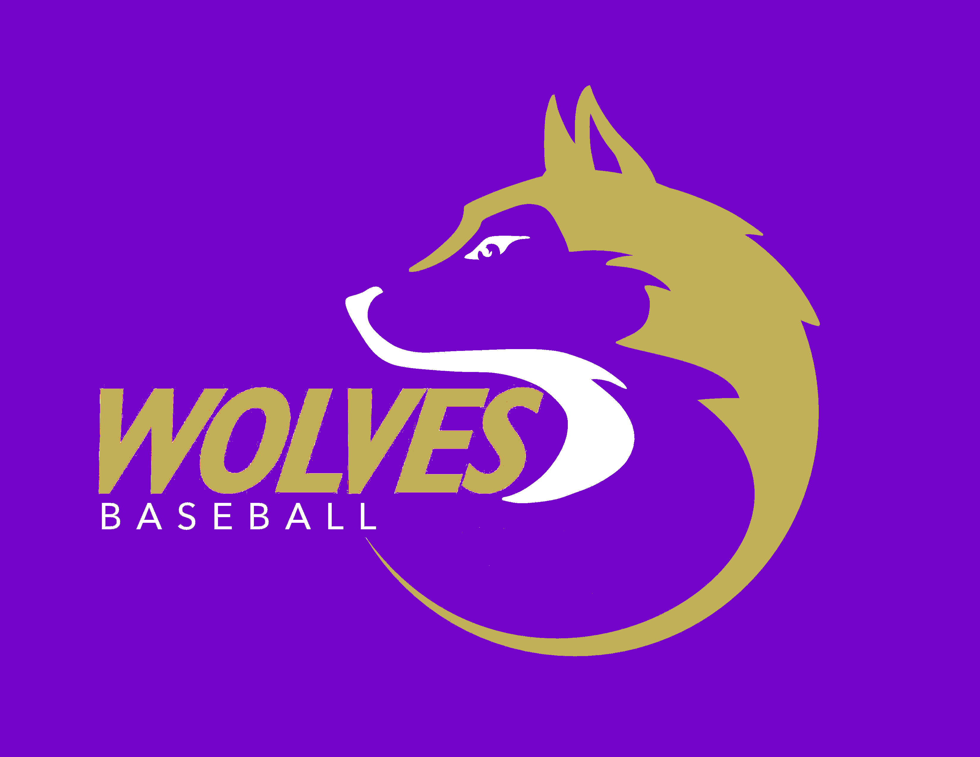 National Championship Sports | Baseball | Sierra Nevada Wolves | 11U D3