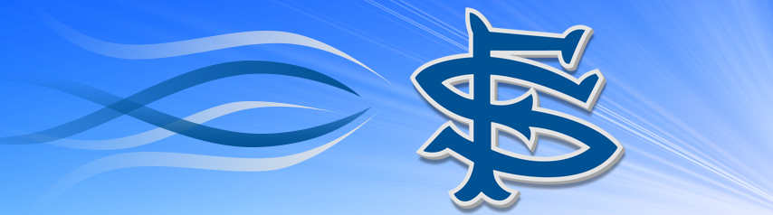 National Championship Sports | Baseball | Seagulls Baseball Academy ...