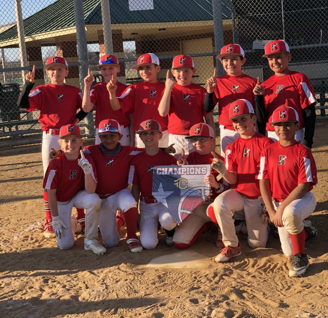 National Championship Sports | Baseball | Buzz 10u Stone | 10U D2