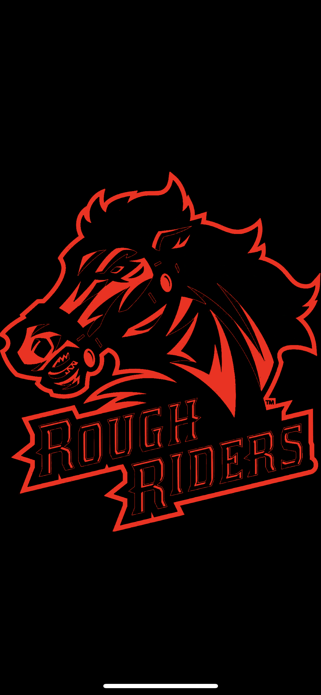 National Championship Sports | Baseball | Rough Riders | 10U D3