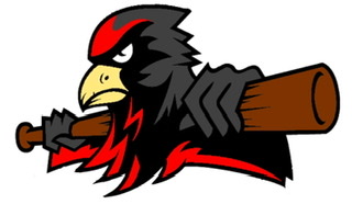 National Championship Sports | Baseball | Falcons | 12U D3