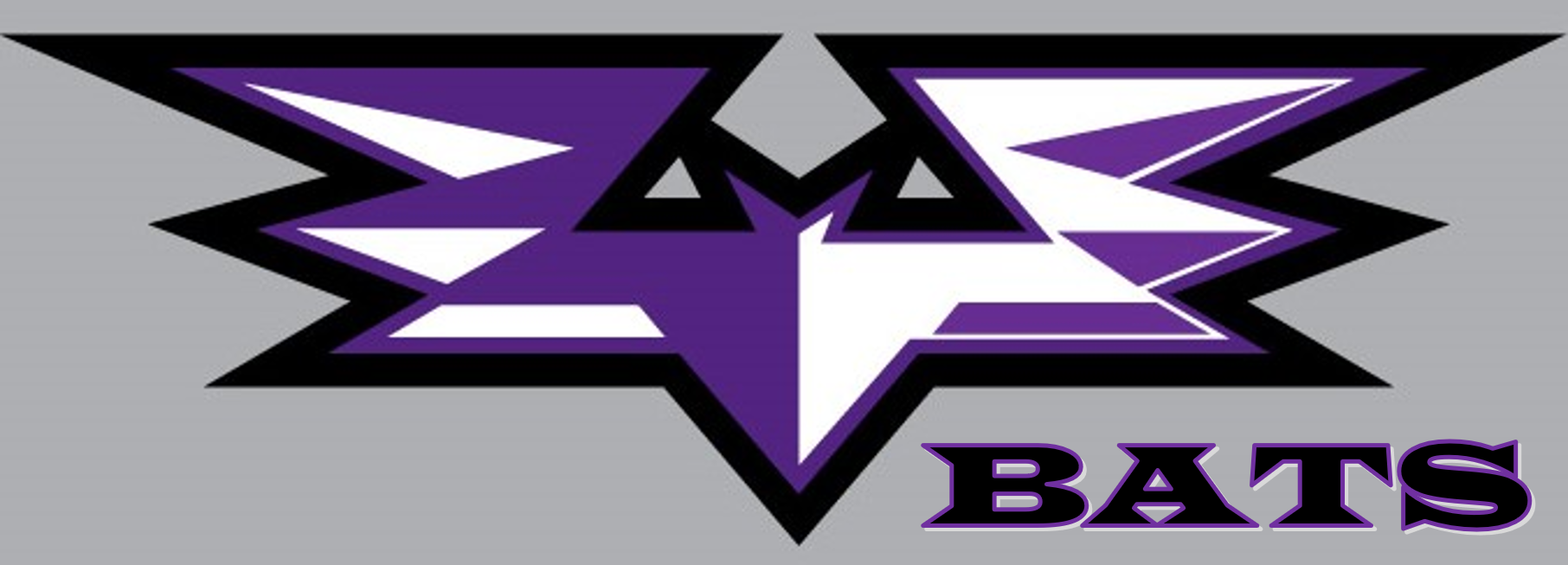 National Championship Sports | Baseball | BATS | 12U D2