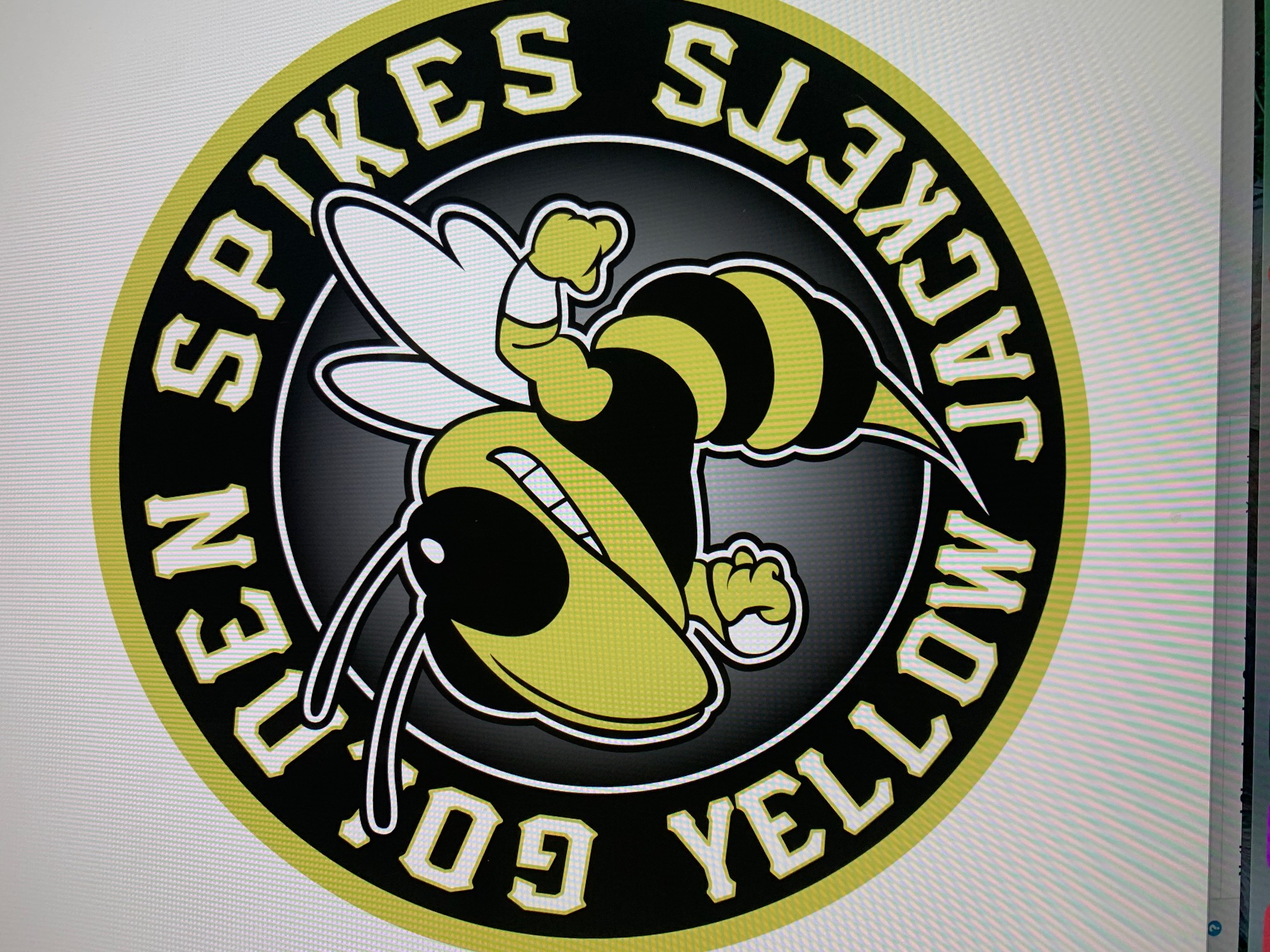 National Championship Sports | Baseball | Golden Spikes Yellow Jackets ...