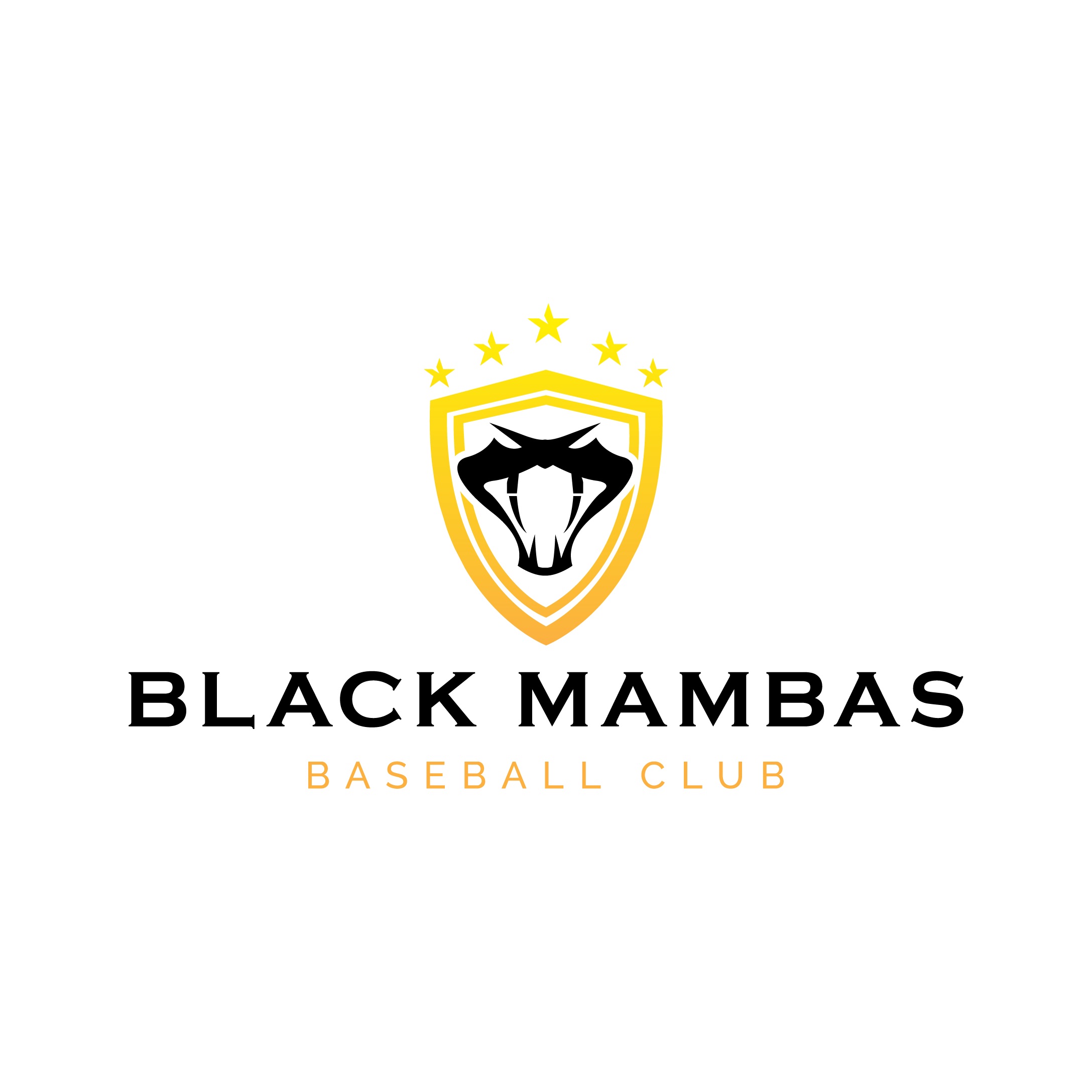 National Championship Sports | Baseball | Black Mambas Baseball Club ...