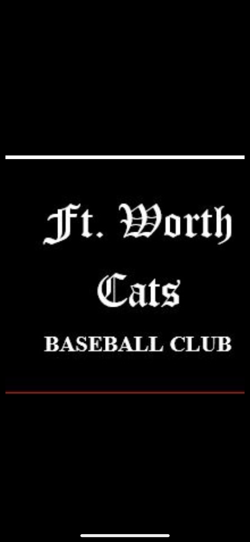 National Championship Sports Baseball Ft Worth Cats Silver 11u D3