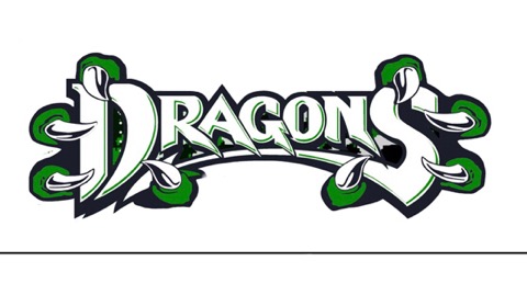 National Championship Sports | Baseball | Dragons | 11U D3