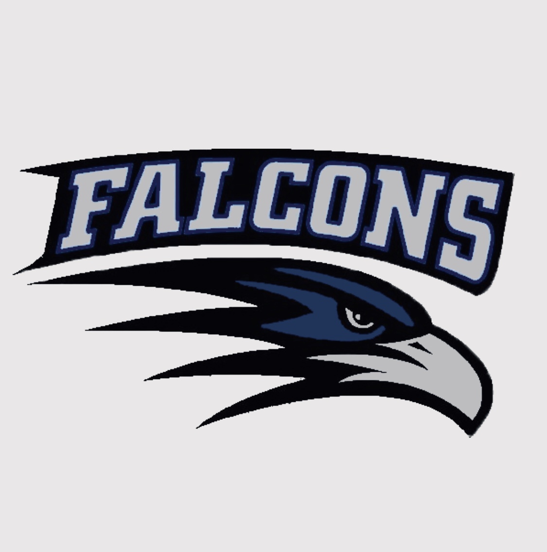 National Championship Sports | Baseball | Falcons 11u Blue | 11U D1