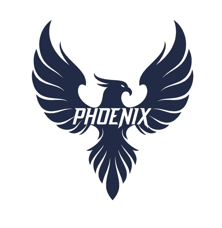 National Championship Sports | Fastpitch | Phoenix 2K11 | 10U B