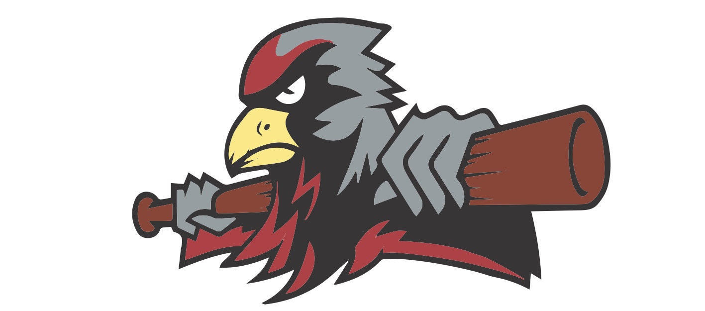 National Championship Sports | Baseball | Falcons | 13U D3