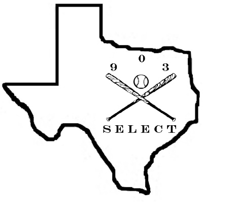 National Championship Sports | Baseball | 903 SELECT BASEBALL | 14U D3