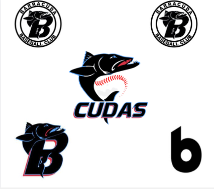 National Championship Sports | Baseball | Barracuda Baseball | 9U D3