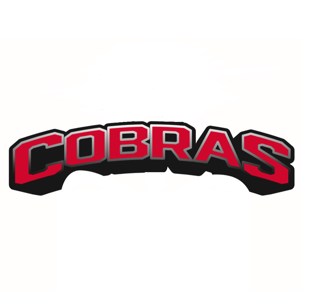National Championship Sports | Baseball | TC Cobras | 12U D3