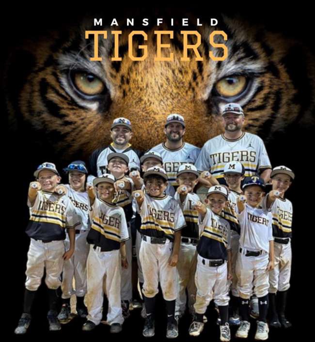 National Championship Sports | Baseball | Mansfield Tigers | 7U D3 KP