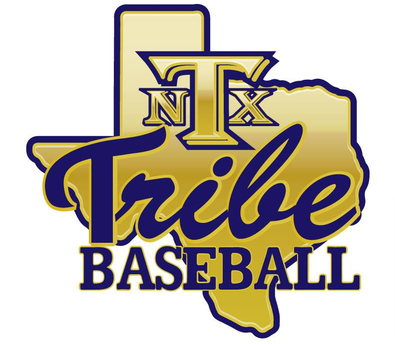 National Championship Sports | Baseball | NTX Tribe - Matthews | 9U D3
