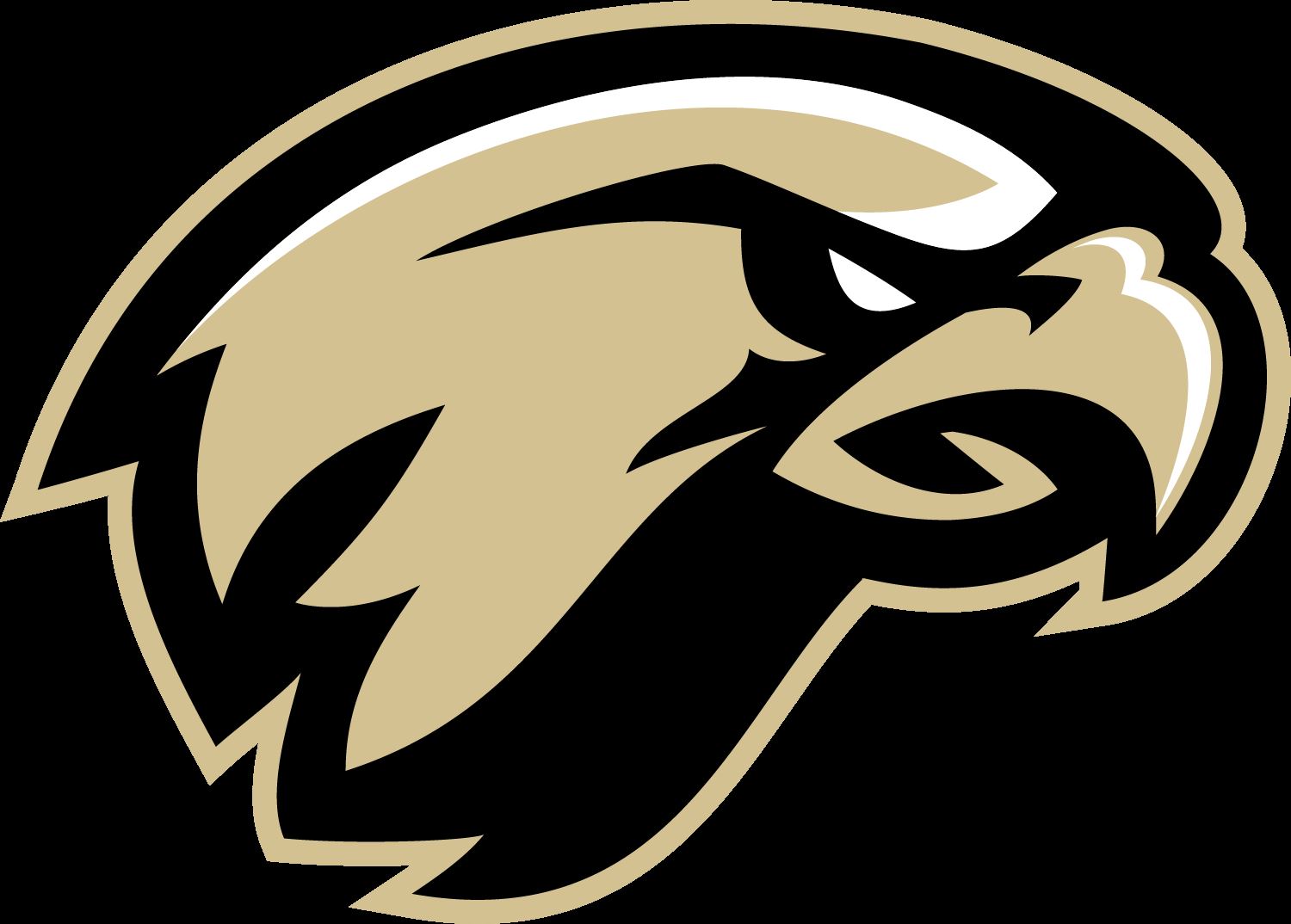 National Championship Sports | Baseball | Hawks Baseball | 12U D1