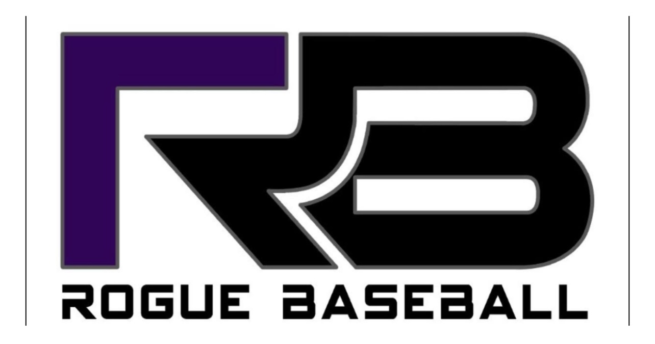 National Championship Sports | Baseball | Rogue baseball | 12U D3