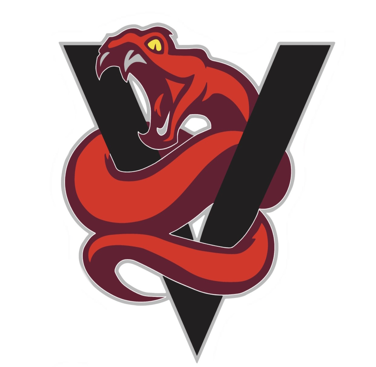 National Championship Sports | Baseball | SCV Vipers | 10U D3
