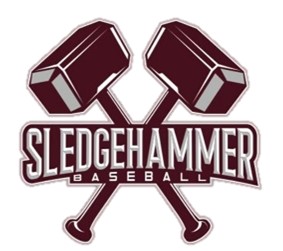 National Championship Sports | Baseball | Sledgehammer Baseball | 10U D3
