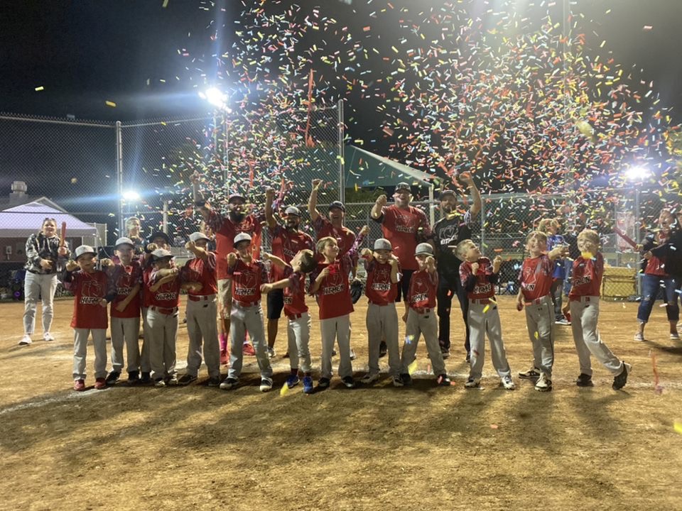 National Championship Sports | Baseball | Hitmen | 10U D3