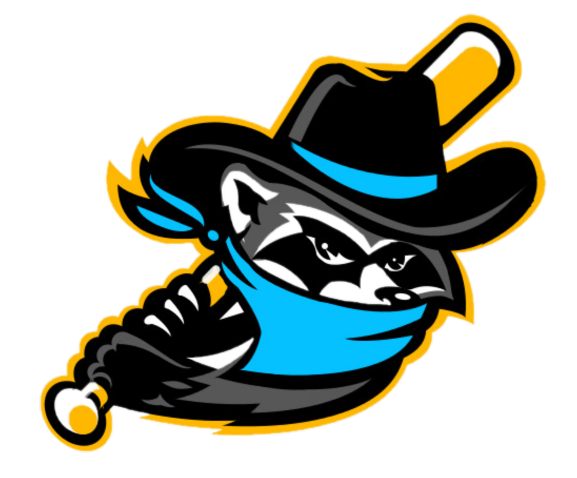 National Championship Sports | Baseball | NorCal Bandits | 16U D2