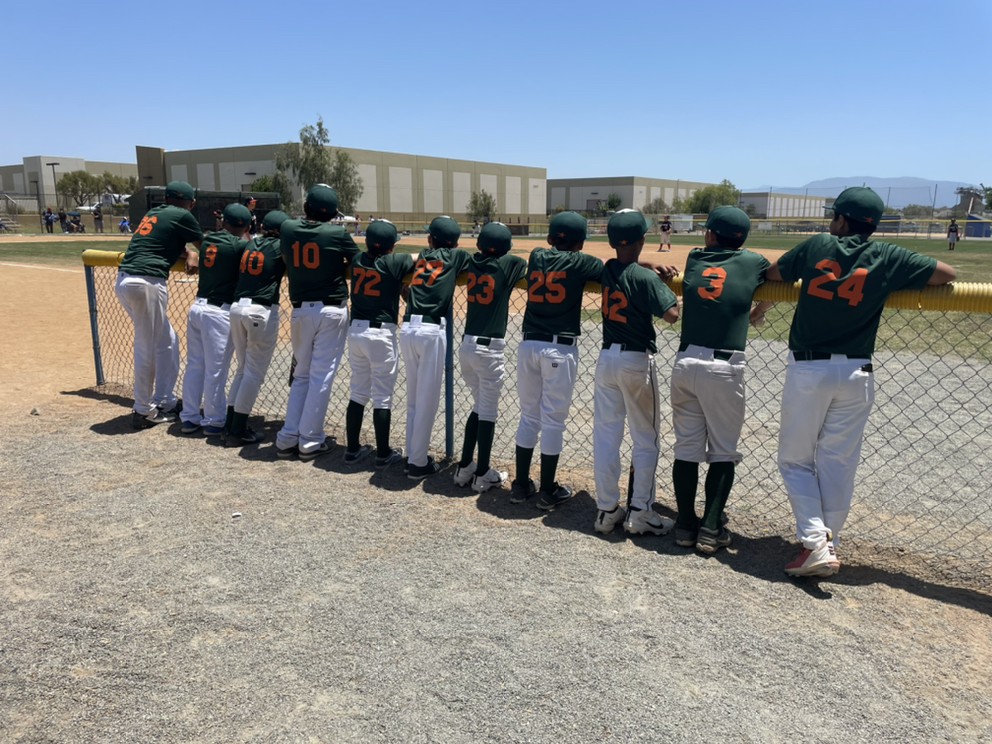 National Championship Sports | Baseball | Olive 13u | 13U D3