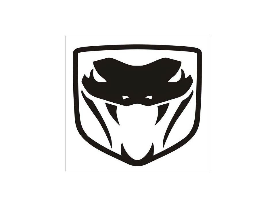 National Championship Sports | Baseball | Oak Hill Green Vipers | 10U D1