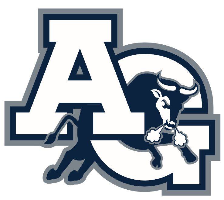 National Championship Sports | Baseball | Bulls | 12U D3