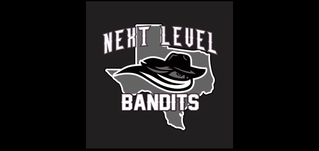 National Championship Sports | Fastpitch | Next Level Bandits 14U | 14U C
