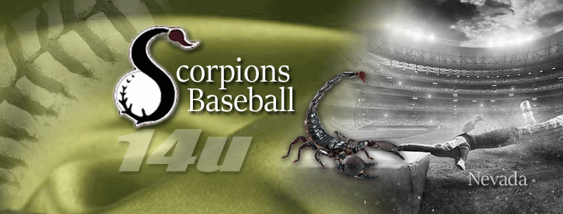 National Championship Sports | Baseball | Scorpions Baseball | 14U D2