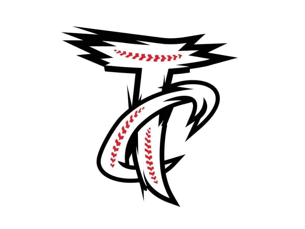 National Championship Sports | Baseball | Texas Chaos | 13U D3