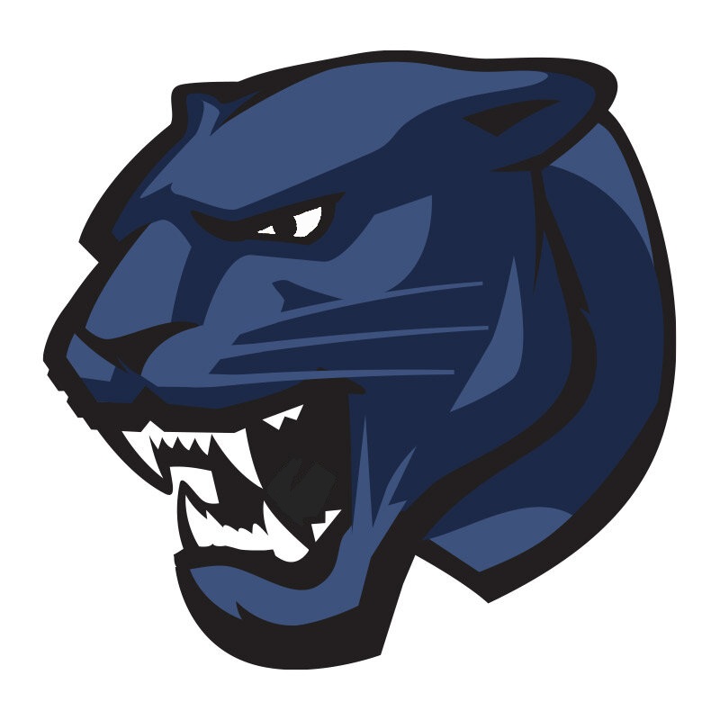 National Championship Sports | Baseball | Burlingame Panthers | 12U D3