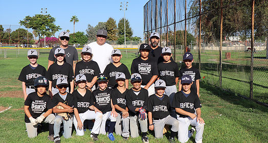 National Championship Sports | Baseball | Venice baseball club | 10U D2