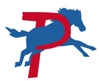 National Championship Sports | Baseball | Mustangs - Red | 12U D3