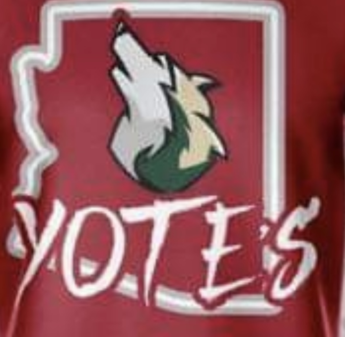 National Championship Sports | Slowpitch | Yote’s | MENS E