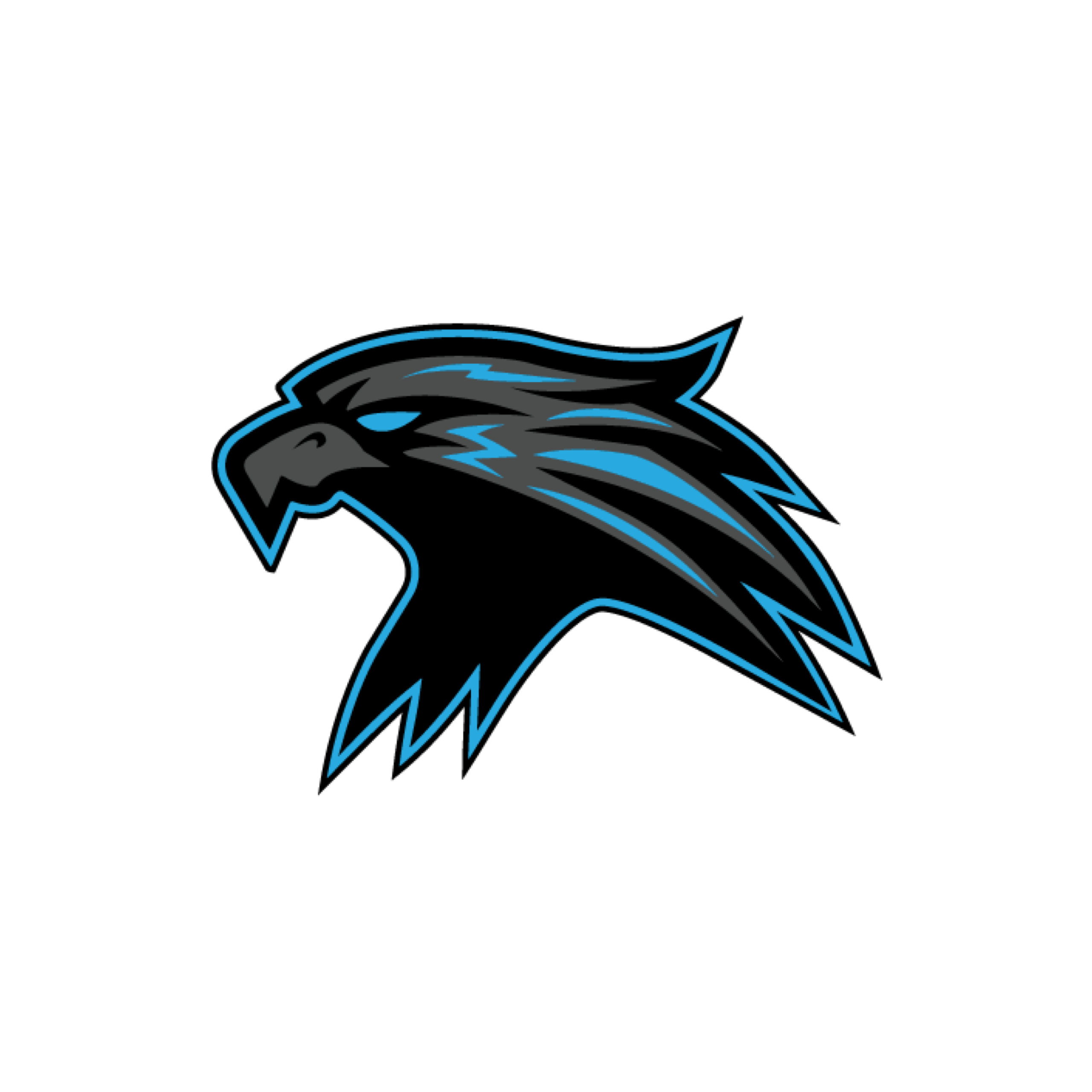 National Championship Sports | Baseball | GBG Blackhawks | 10U D2