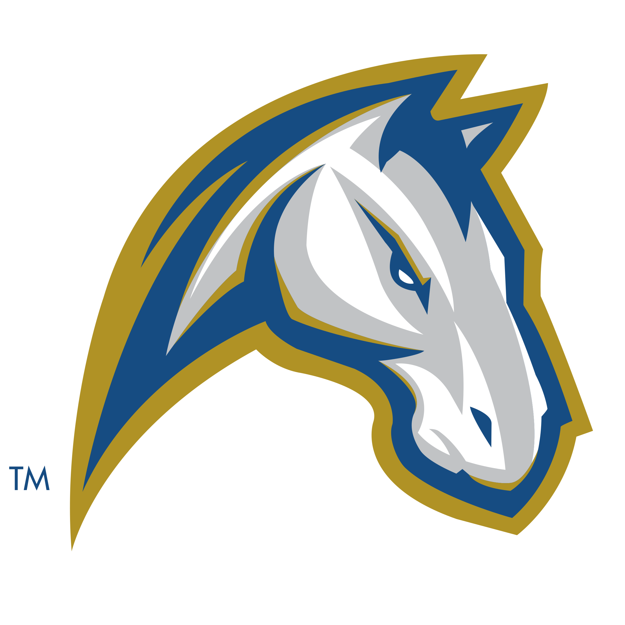 National Championship Sports | Baseball | Davis Aggies | 10U D3