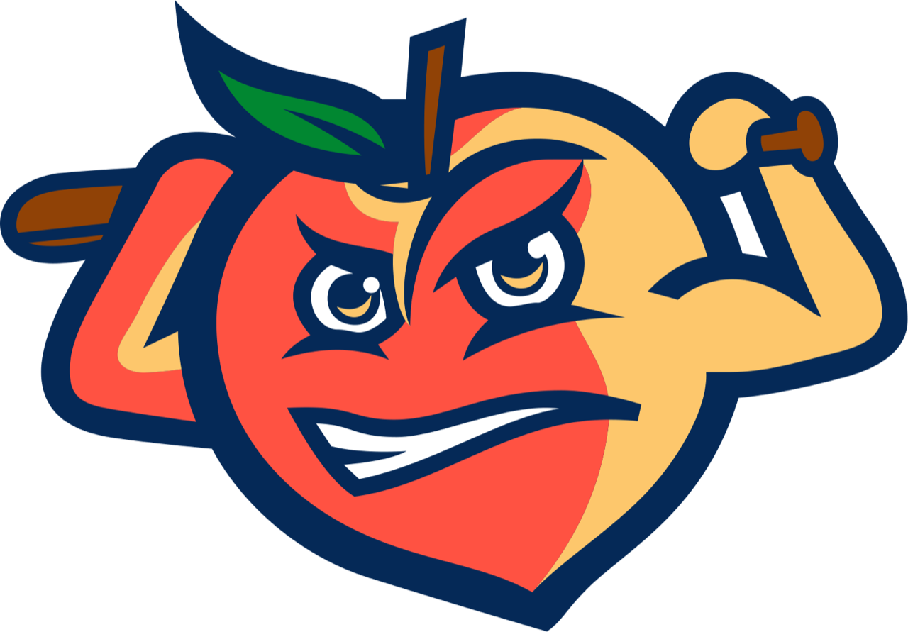 National Championship Sports | Baseball | PC Peaches | 10U D3