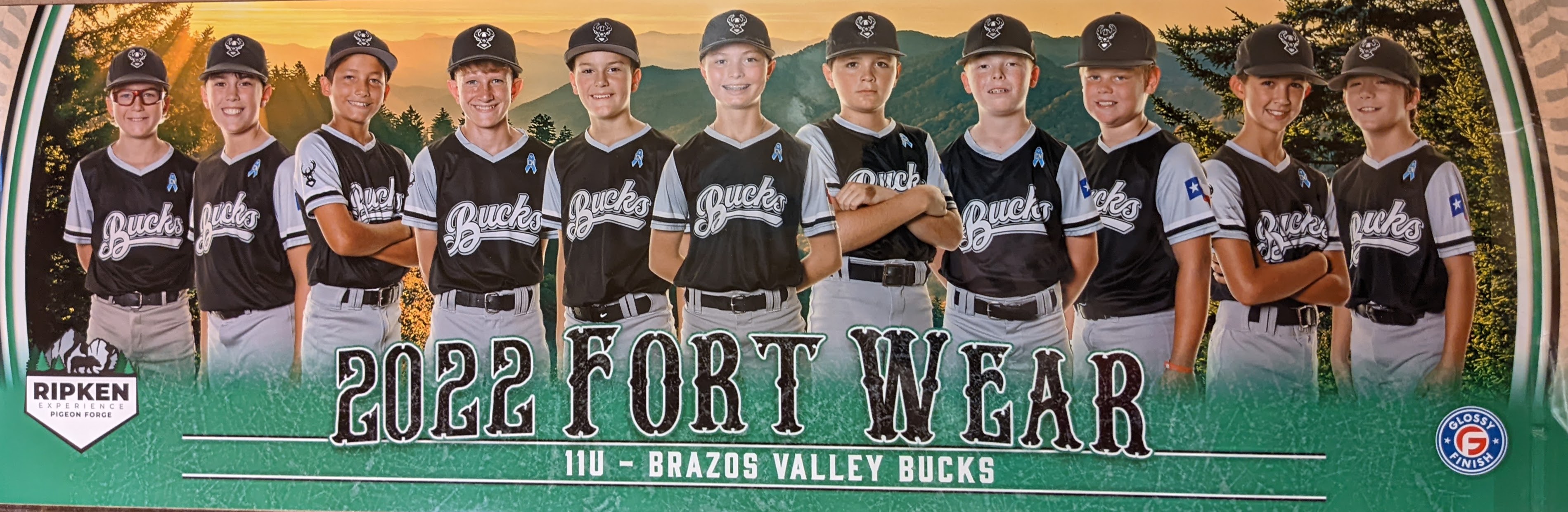 National Championship Sports | Baseball | BV Bucks - Gunnels | 12U D3