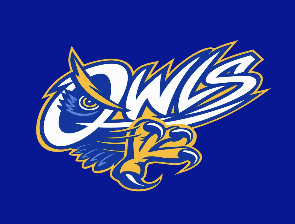 National Championship Sports | Fastpitch | Lady Owls | 8U C