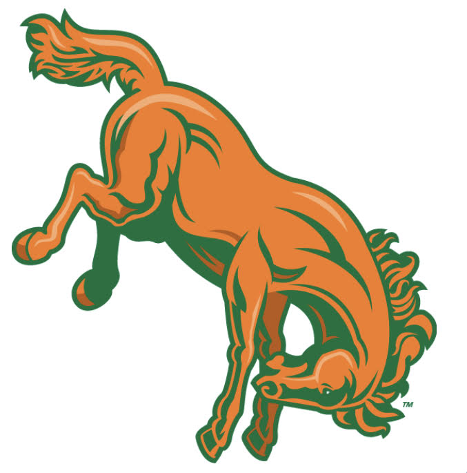 National Championship Sports | Fastpitch | STX Broncs | 14U C-REC