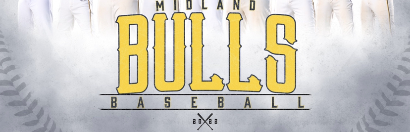 National Championship Sports | Baseball | Midland Bulls 14u Gold | 14U D3