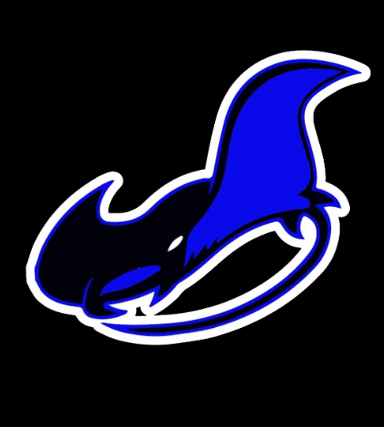 National Championship Sports | Baseball | TX RAYS | 7U REC CP