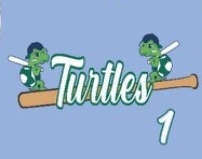 National Championship Sports | Slowpitch | Turtles | 40s MENS AA