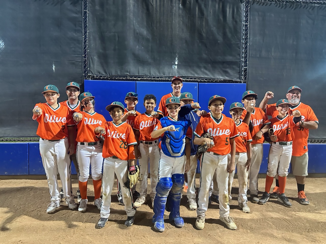 National Championship Sports | Baseball | Olive - Green | 12U D3