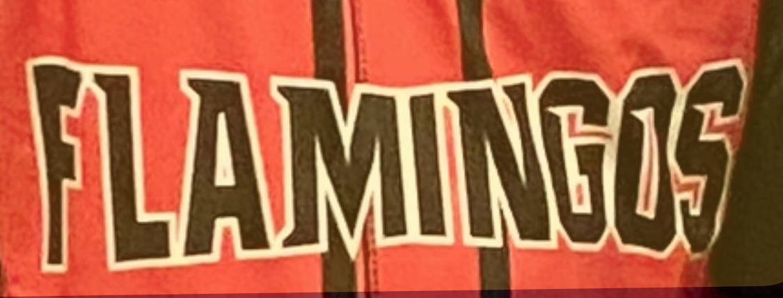 National Championship Sports | Baseball | Flamingos | 11U D3