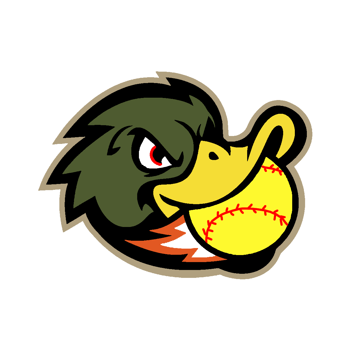 National Championship Sports | Slowpitch | Mighty Ducks | MENS E