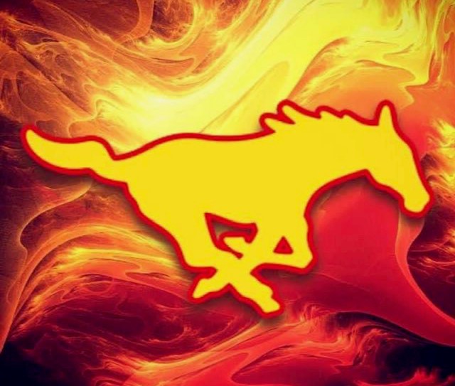 National Championship Sports | Baseball | Stallions | 10U D3