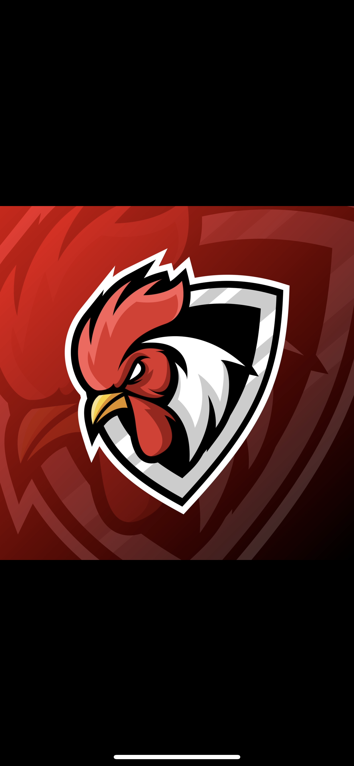 National Championship Sports | Baseball | STX Desperados | 18U D2