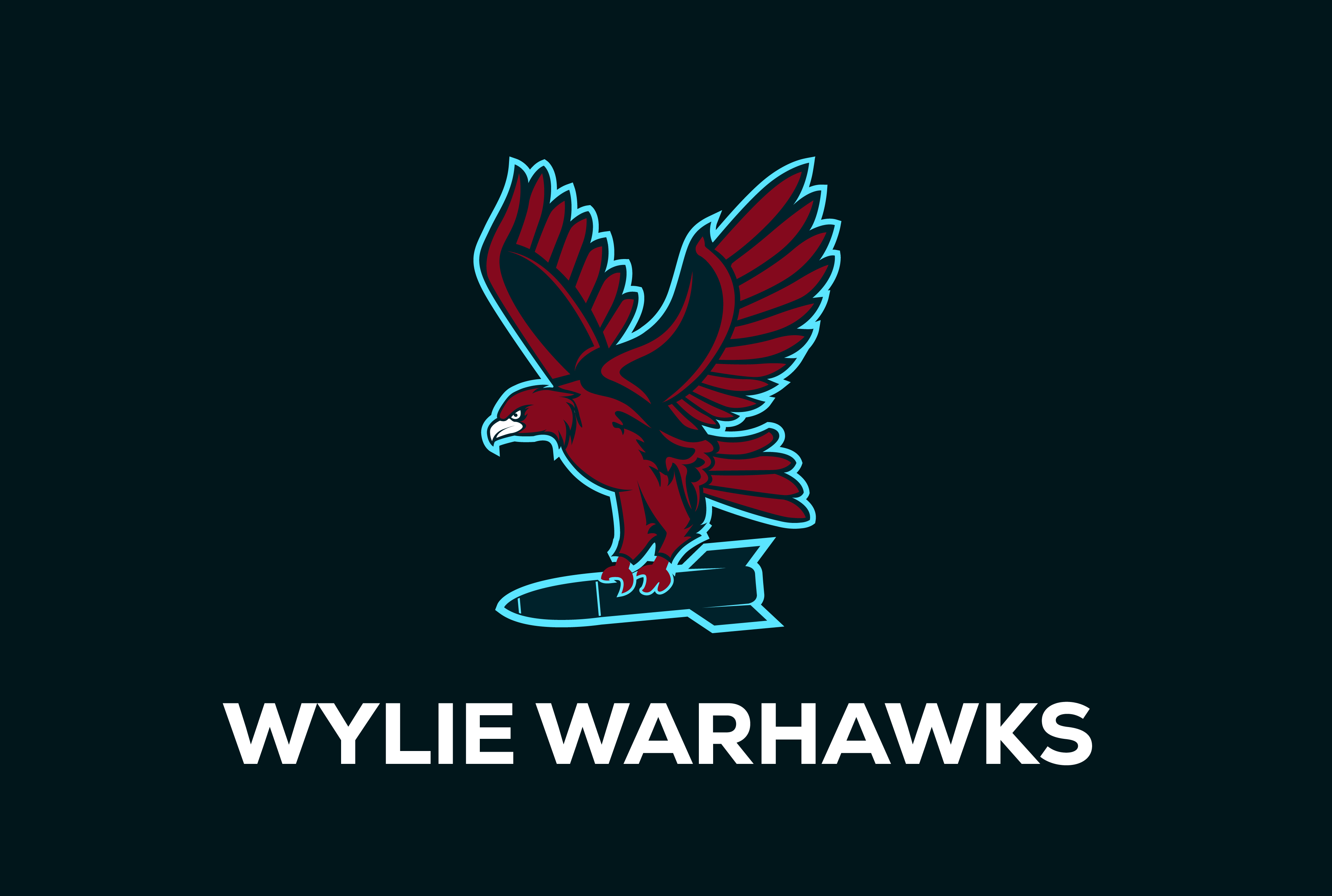 National Championship Sports | Baseball | Wylie Warhawks | 11U D3